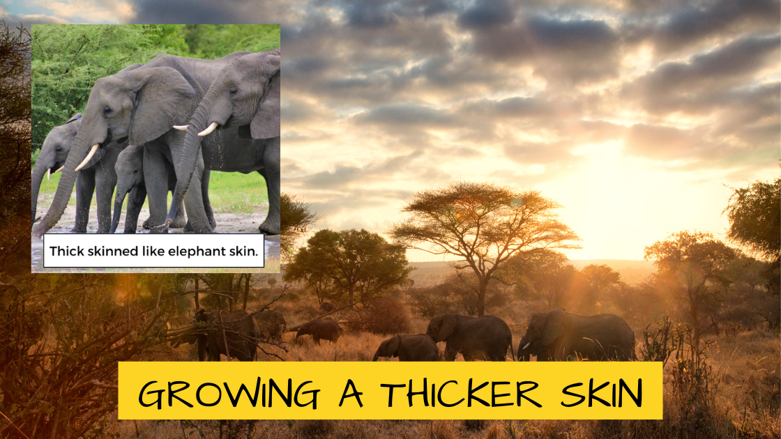 Growing Thicker Skin – Froggy About Teaching